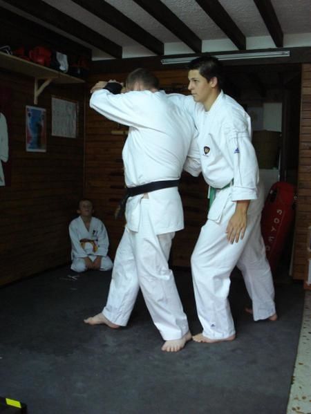 APERCU DU PROGRAMME DE KI JUTSU - TAISHINDO