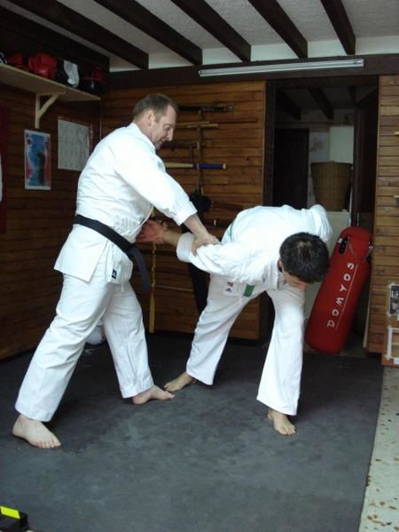APERCU DU PROGRAMME DE KI JUTSU - TAISHINDO