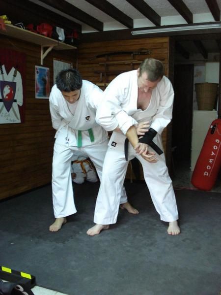 APERCU DU PROGRAMME DE KI JUTSU - TAISHINDO