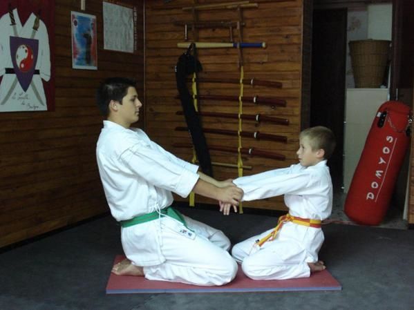 APERCU DU PROGRAMME DE KI JUTSU - TAISHINDO