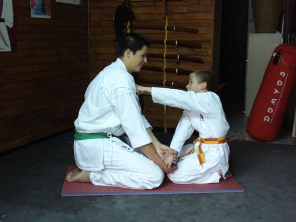 APERCU DU PROGRAMME DE KI JUTSU - TAISHINDO