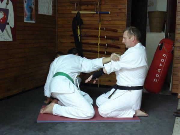 APERCU DU PROGRAMME DE KI JUTSU - TAISHINDO