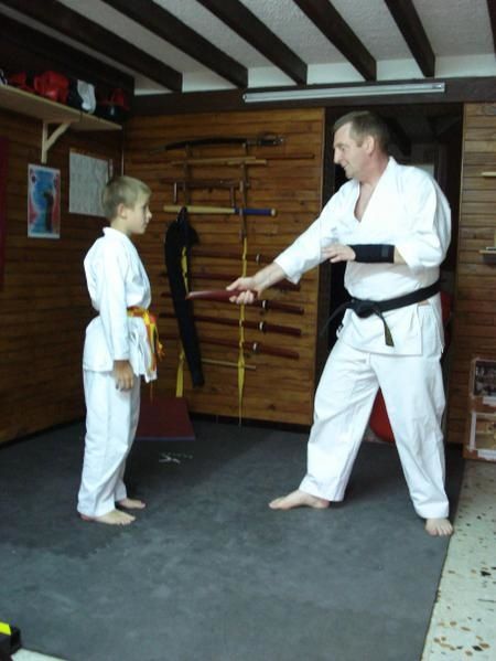 APERCU DU PROGRAMME DE KI JUTSU - TAISHINDO