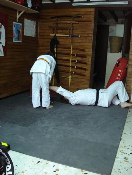 APERCU DU PROGRAMME DE KI JUTSU - TAISHINDO