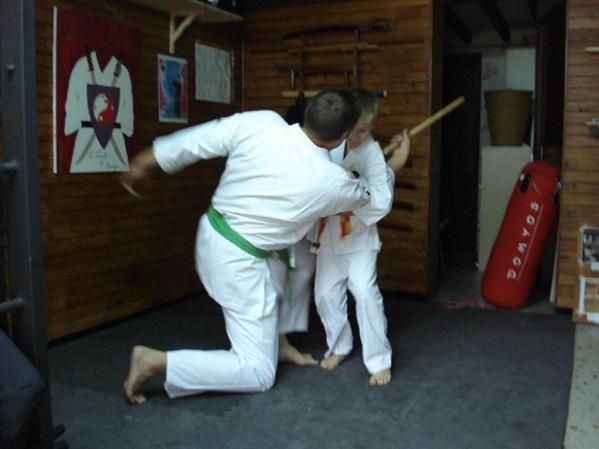 APERCU DU PROGRAMME DE KI JUTSU - TAISHINDO