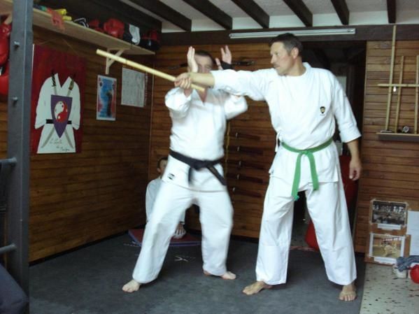 APERCU DU PROGRAMME DE KI JUTSU - TAISHINDO