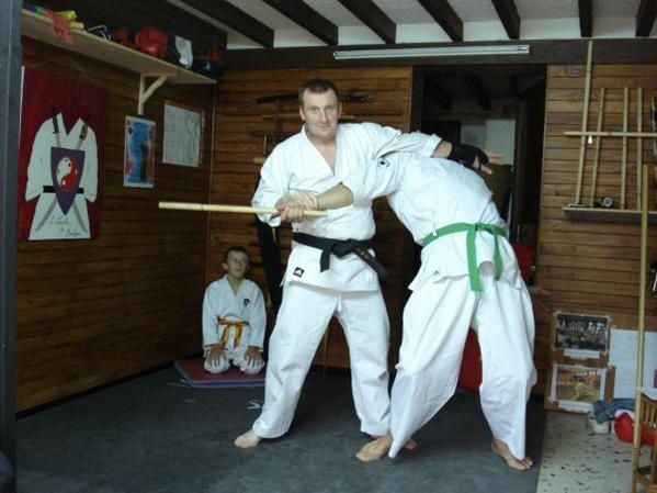 APERCU DU PROGRAMME DE KI JUTSU - TAISHINDO