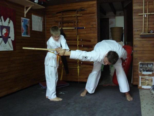 APERCU DU PROGRAMME DE KI JUTSU - TAISHINDO