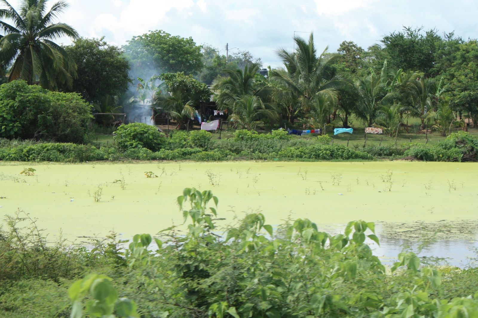 Expédition à Tututepec… - ladernieredumexique