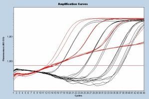 Tester ses amorces... - PCR & Compagnie