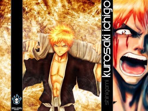Album - Bleach - top-japanim