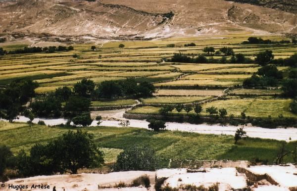 La riche vallée de l'oued Abdi - Le massif de l'Aurès (Algérie), en images.