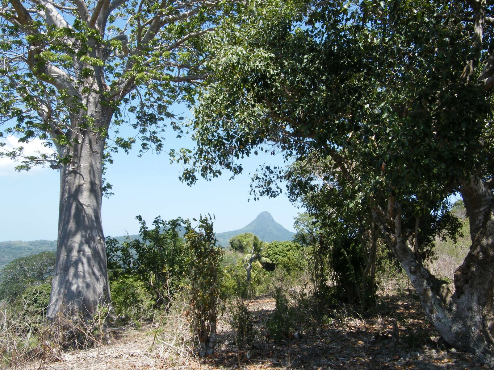 La pointe Saziley - Guillaume, Valérie et Mathilde en Outre Mer