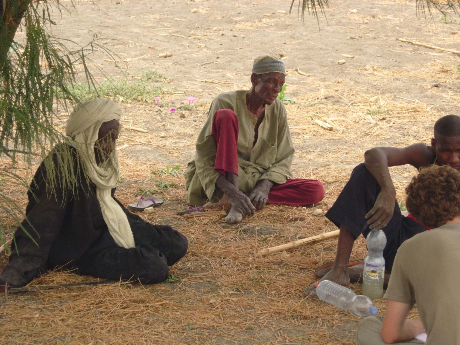 Tout pousse au Polder de Bosso - Le blog de l'Est Niger : Diffa, Bosso ...