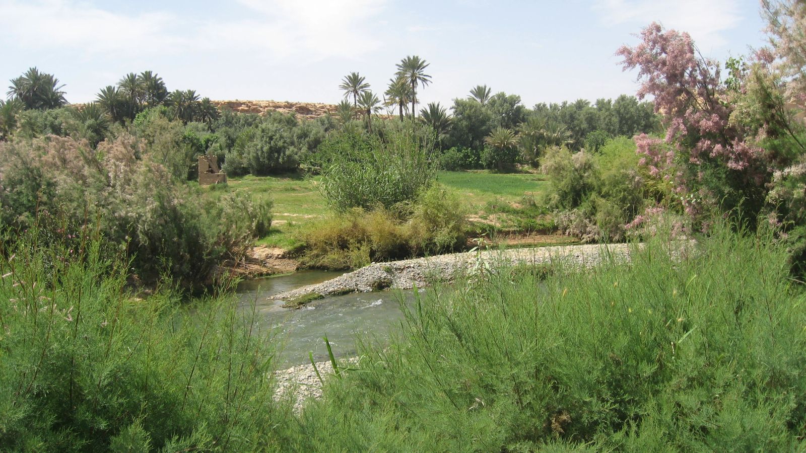 3ème jour : de Er-Rachidia à Merzouga - c'est le souk ici ....