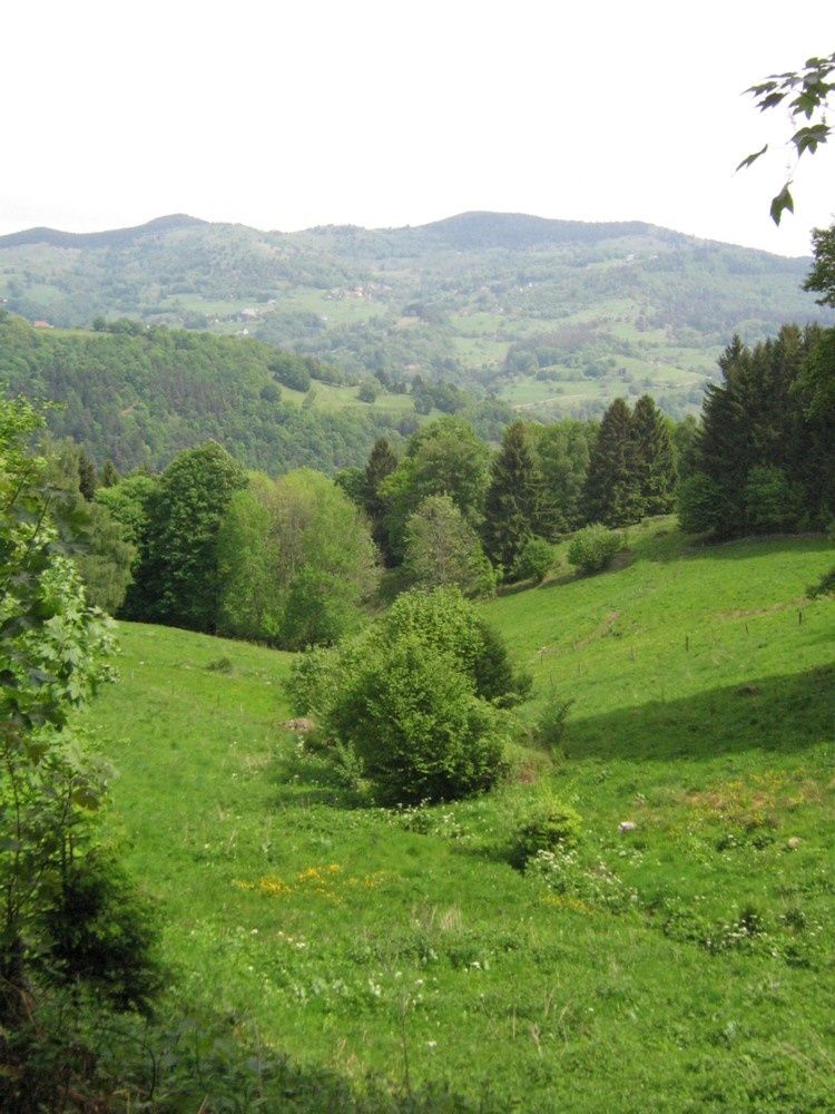 La vallée de Munster, paysages de printemps - Mon chalet à la montagne