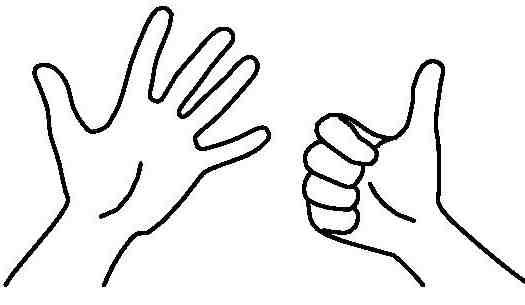 les doigts - chez Camille