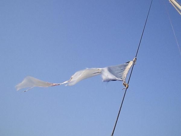 Pétole qui colle... - Shagshag voyage...