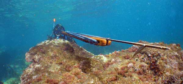 Riffe Euro series 90, le mythe à l’Européenne ! - PSMcafé: la zone des ...