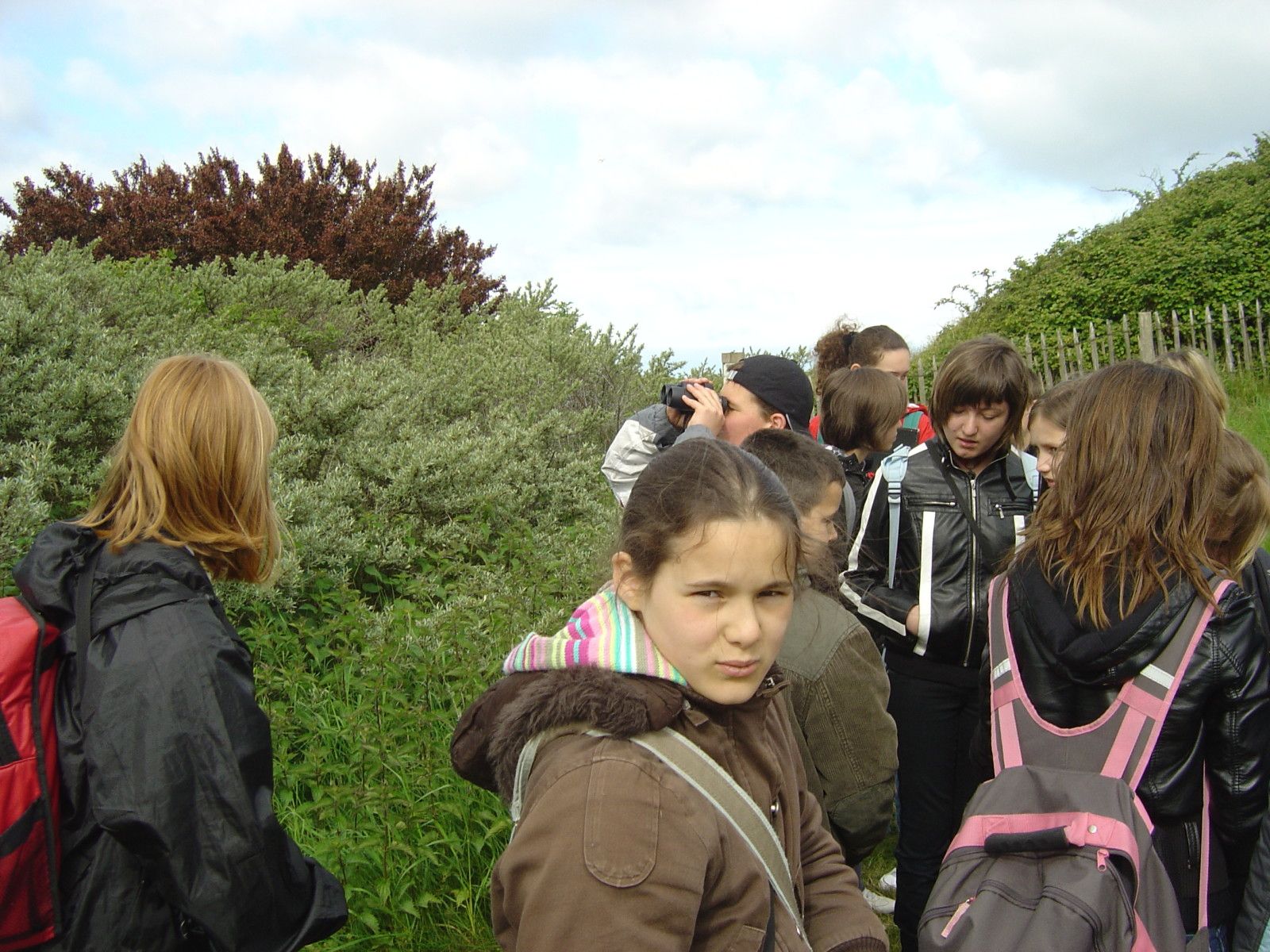 COLLEGE JULES VERNE BULLY-LES-MINES CLUB MARECOLO - Le blog de Flora