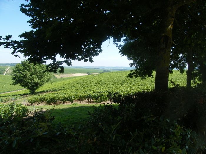 Le Chablis - jardin des merveilles