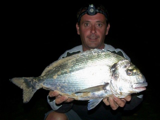 Peche dorade royale - Dream Team & co