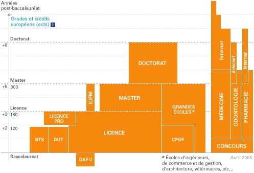 Schéma Licence Master Doctorat - Culture, droit, politique français ...
