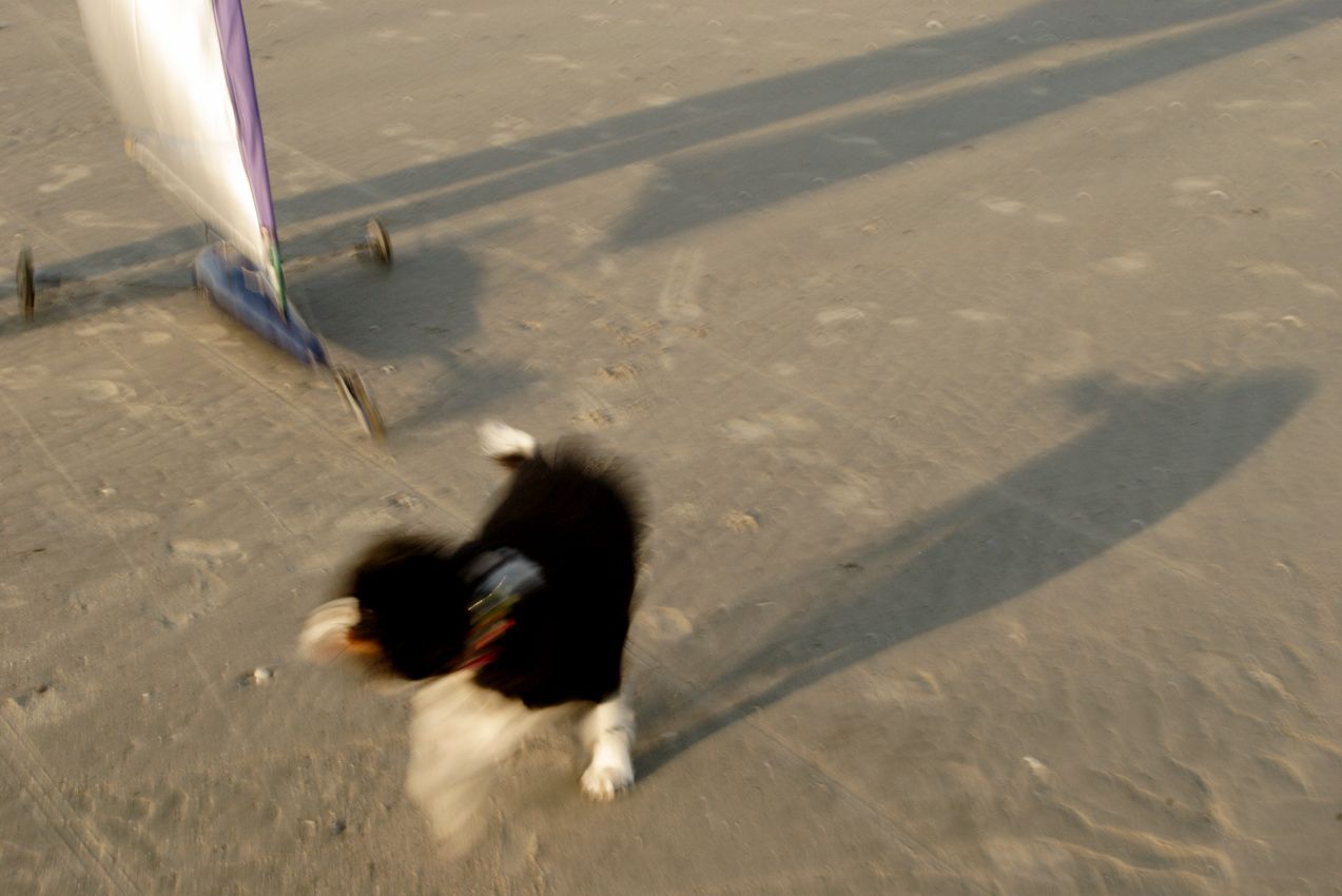 Free kadell et la levrette afkhane! - marco stanley fog et ses aéroplages