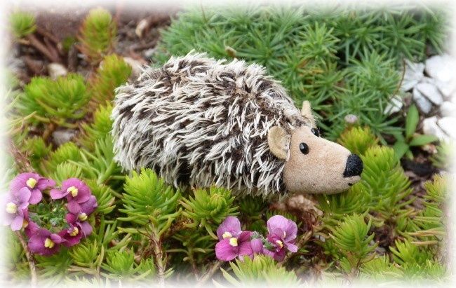 Grignote & Oscar - Petits points au jardin xxx