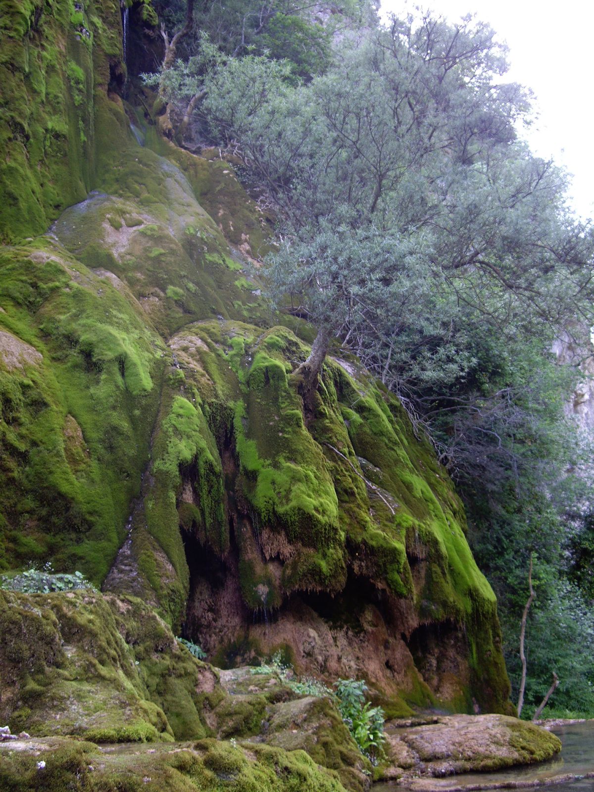 La cascade verte. - GPS de Valence