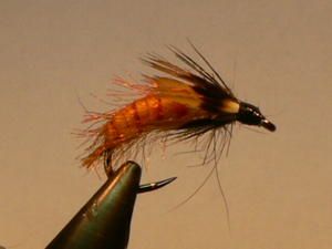 L'organza nymph - Passionnés de la pêche à la mouche