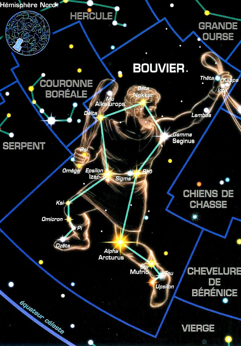 constellation bouvier