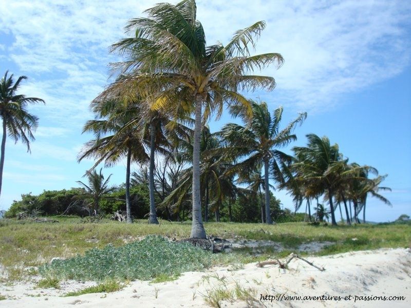 VOYAGE AU GRENADINES le 09/12/08 - Le blog de Domjade