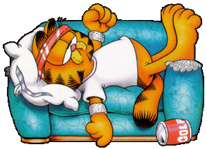 Le chat "Garfield" - Le blog de arkillia