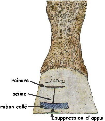 Barrer une seime - Le blog de poupoutland