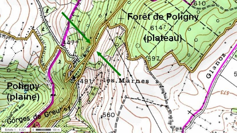 La forêt de Poligny (limites territoriales) - Le blog d'eustache