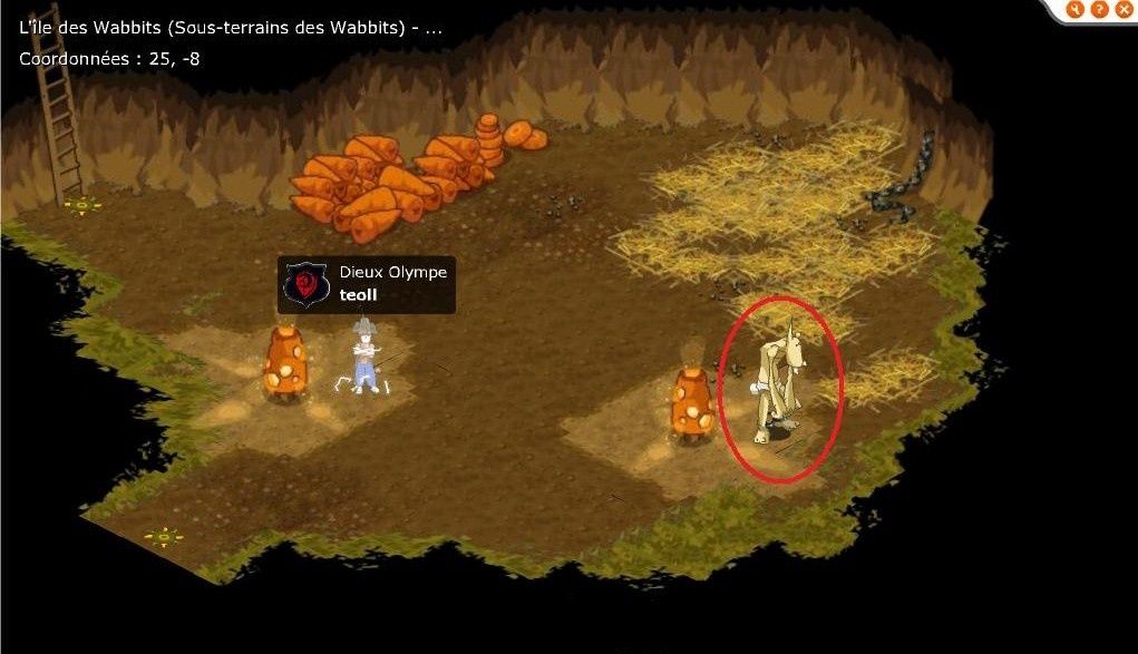 Dofus map wabbit gm
