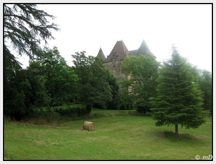 Monclera - Sous le soleil impunément