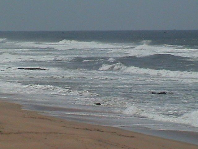 [EXCLUSIVE] Ndau-spirit-signs