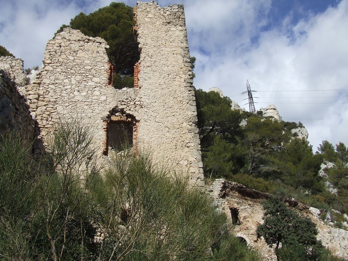 Le Pilon du Roi - Pins et Tamaris