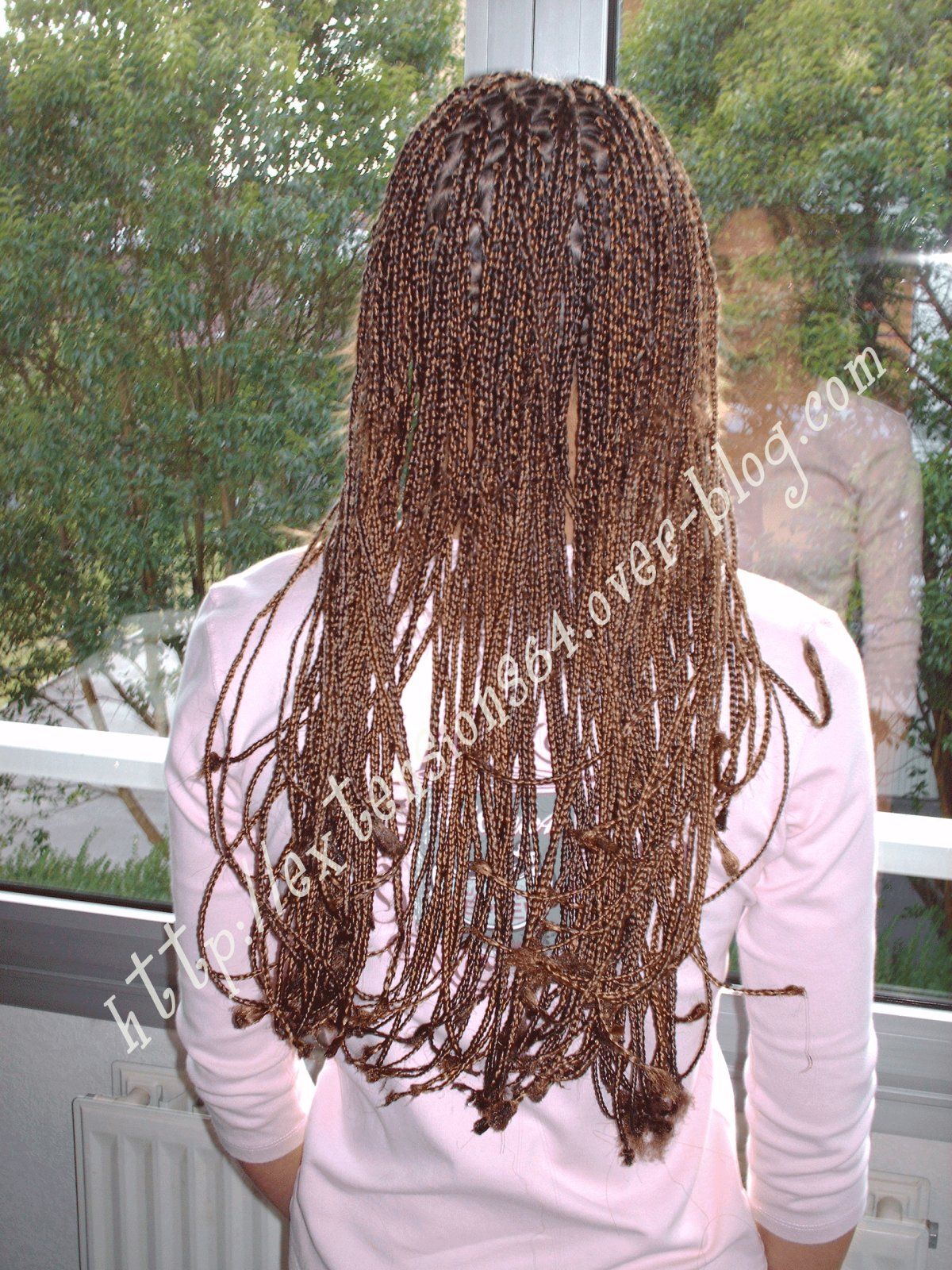 Modèles tresses lâchées longues et fines 3 - Extensions et coiffures ...