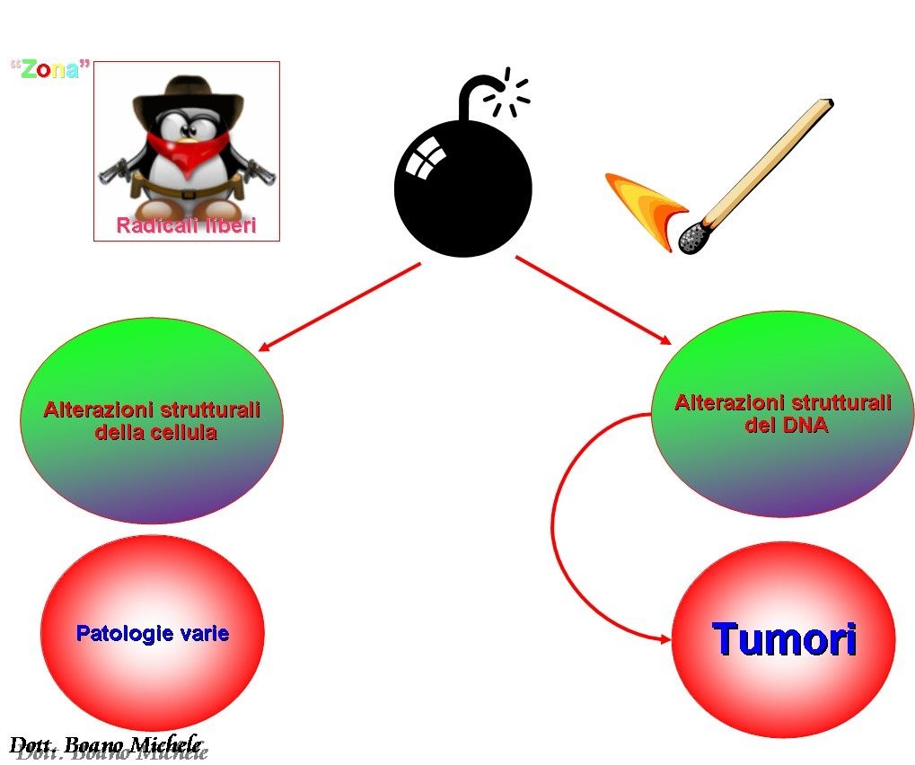 Bersagli dei radicali liberi - "Zona-Estetica-Benessere"