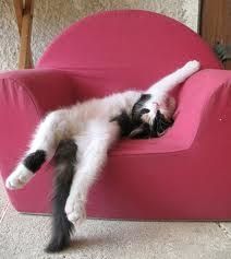 TROUVER COURAGE DANS UN DEUIL!!! - Bienvenue dans mon Univers de douceur.