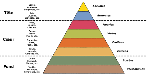 Base de connaissance - Qu'est ce qu'une pyramide olfactive?