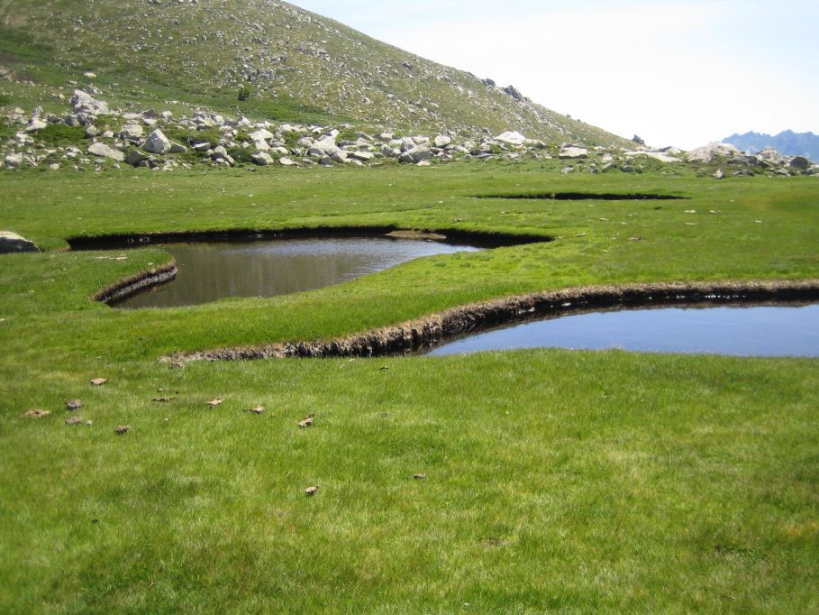 Les Pozzi - Le blog de Alain