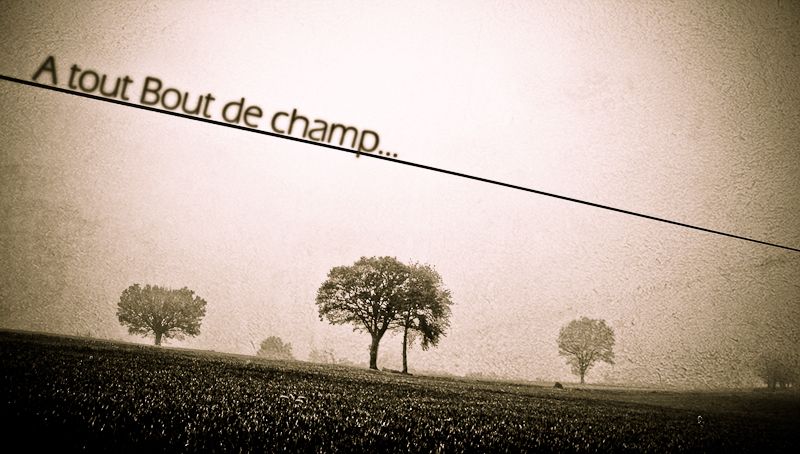 Photo-graphisme 4 - Terra Nullius