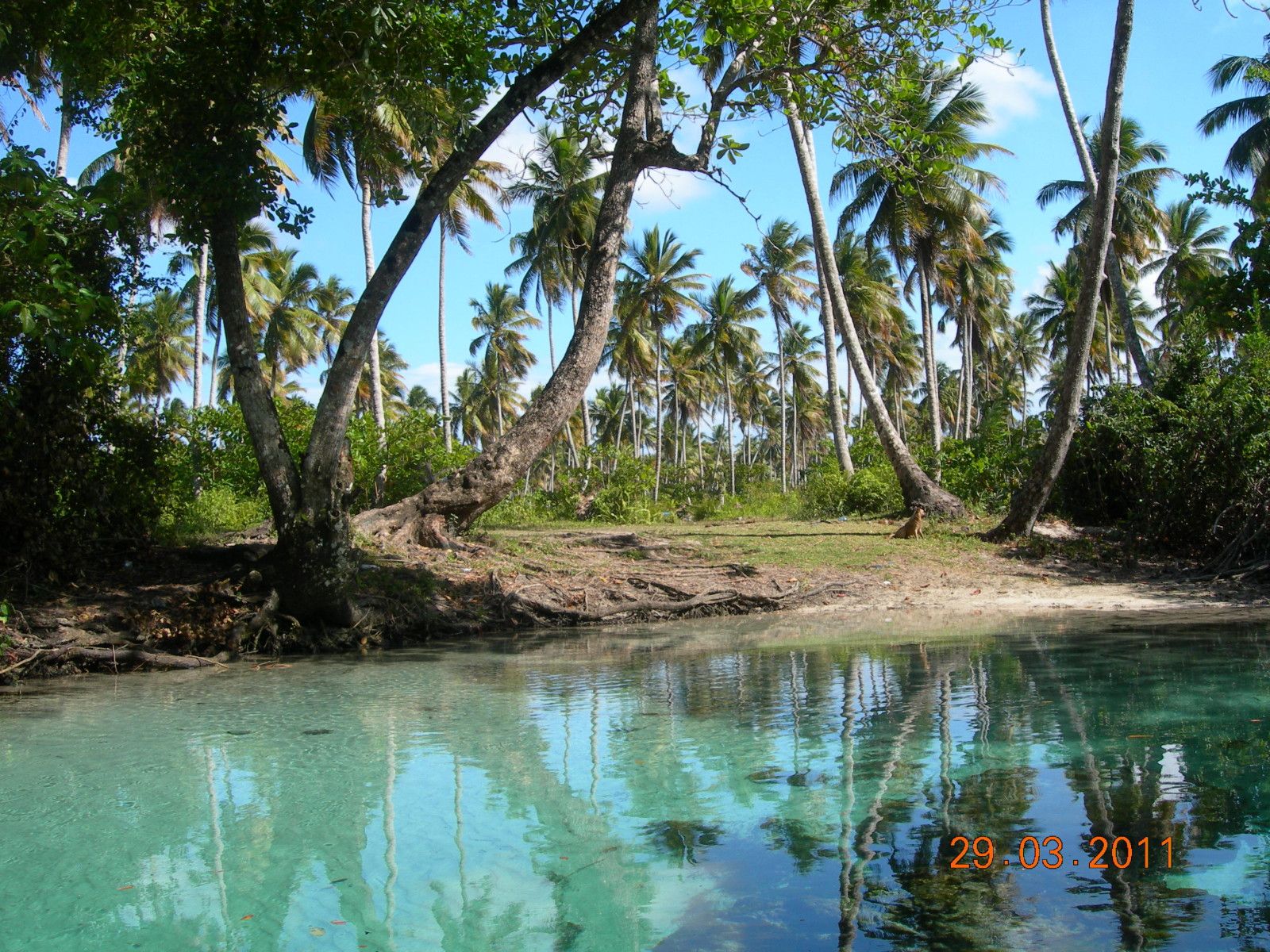 Las terrenas - location rancho de la playa las terrenas