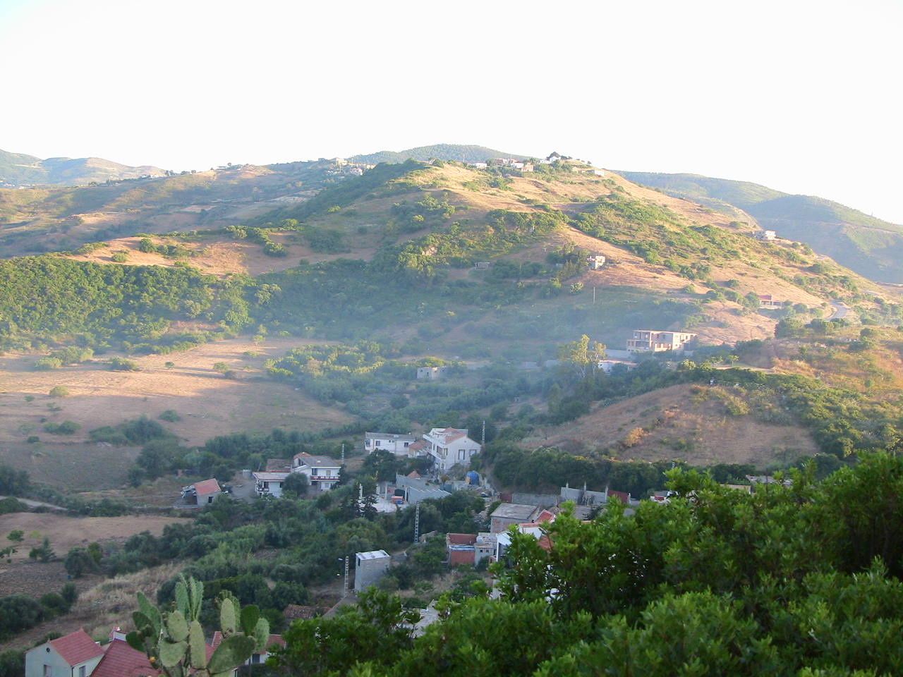Opération " Oiseau bleu " - Ait Rehouna