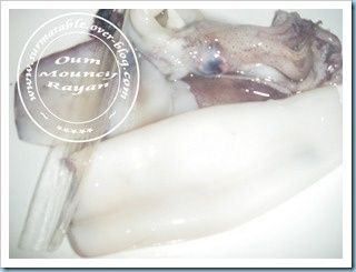 CALAMARS FARCIS - Les recettes de oum mouncif rayan