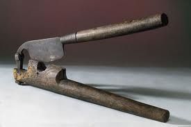 La protection des animaux de compagnie : la caudectomie - Mareult